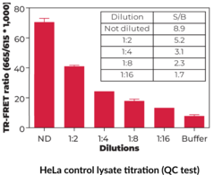 THUNDER™ Phospho-STAT6 (Y641) TR-FRET Cell Signaling Assay Kit