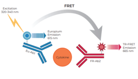 THUNDER™ Human GM-CSF TR-FRET Biomarker Assay Kit
