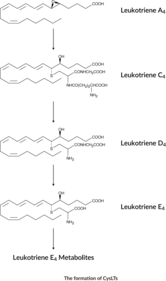 Succinylacetone (CAS 51568-18-4)
