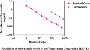 Testosterone Glucuronide ELISA Kit