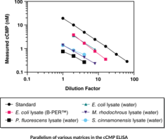 Cyclic CMP ELISA Kit