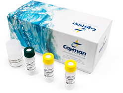 Stem Cell Survival Reagent Kit (CEPT)
