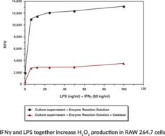 Hydrogen Peroxide Assay Kit