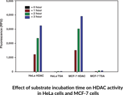 HDAC Cell-Based Activity Assay Kit