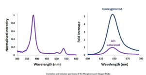 Oxygen Consumption Rate Assay Kit