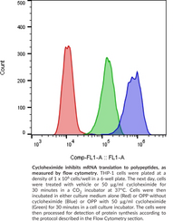 Protein Synthesis Assay Kit