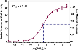 EP2 Receptor (human) Reporter Assay Kit
