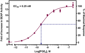 EP4 Receptor (human) Reporter Assay Kit