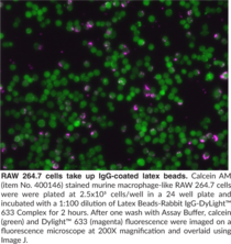 Phagocytosis Assay Kit (IgG-DyLight™ 633)