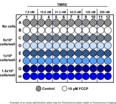 TMRE Mitochondrial Membrane Potential Assay Kit