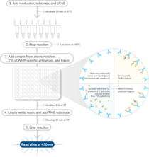 cGAS Inhibitor Screening Assay Kit
