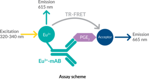 Prostaglandin E2 TR-FRET Assay Kit