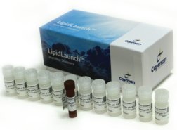 LipidLaunch™ LNP Apparent pKa Assay Kit (TNS Method)