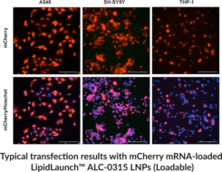 LipidLaunch™ ALC-0315 LNP Kit (Loadable)
