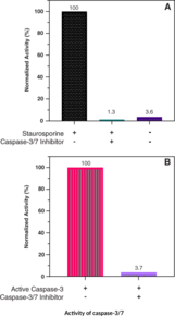 Caspase-3/7 Cell-Based Activity Assay Kit