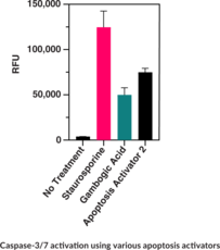 Caspase-3/7 Cell-Based Activity Assay Kit